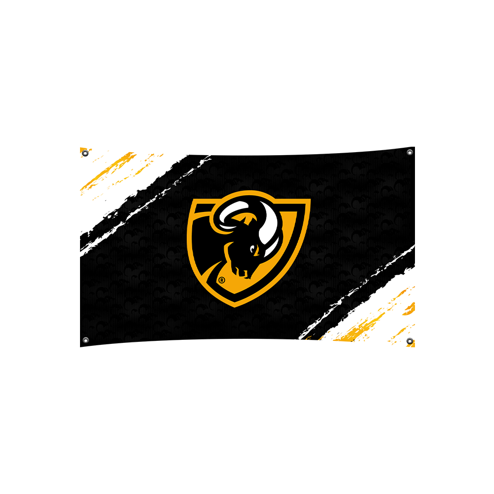 VCU Esports Flag – Sector Six Apparel